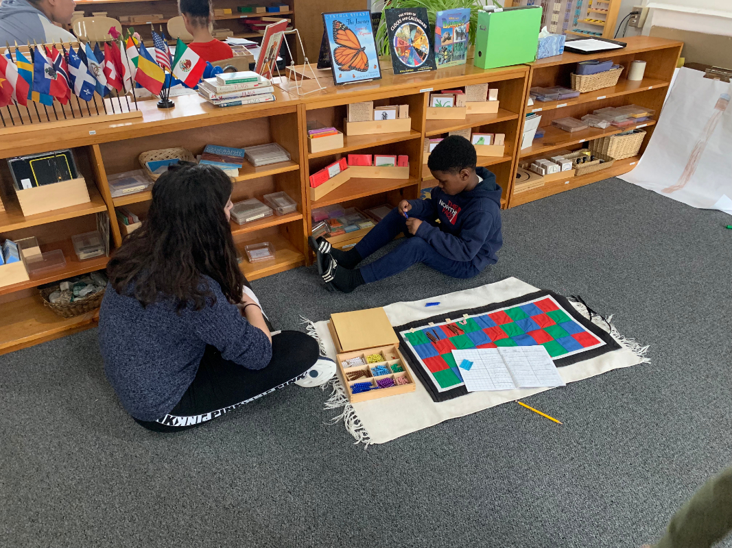 Fraser Woods Montessori School | Lower Elementary: Studying Earth’s ...