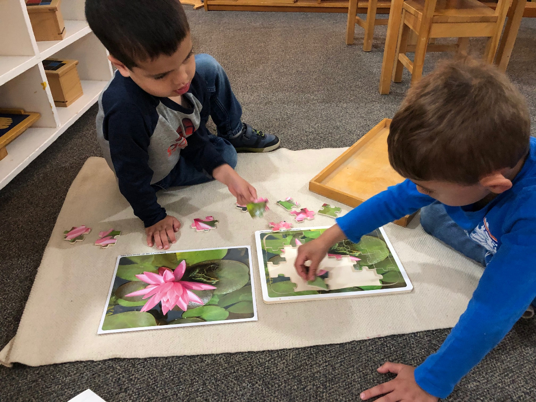Fraser Woods Montessori School | Ms. Kayser’s Class: April Showers ...