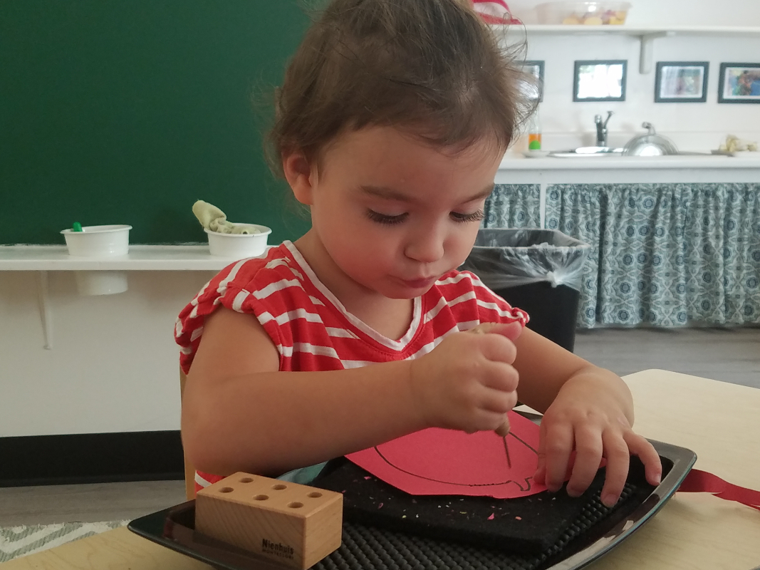 Fraser Woods Montessori School | Mrs. Carroll’s Class: Let the ...