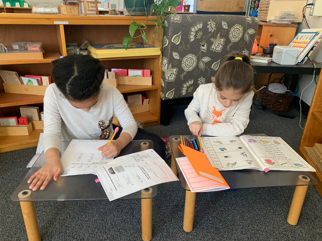 Fraser Woods Montessori School | The Montessori Work Cycle