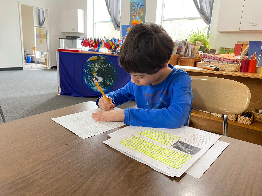 Fraser Woods Montessori School | The Montessori Work Cycle