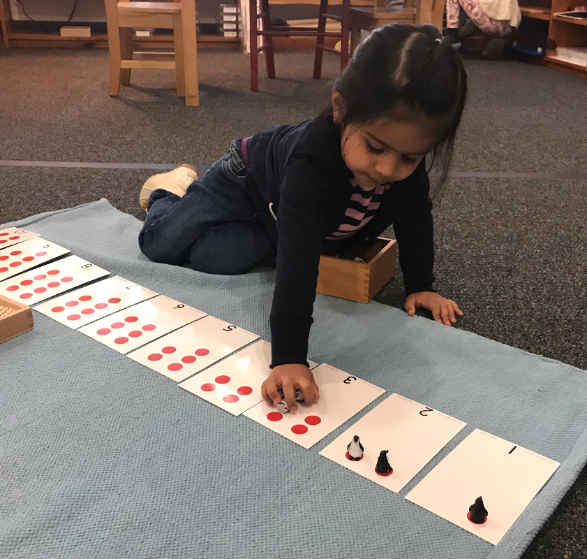 Fraser Woods Montessori School | Mrs. Doyle’s Class: The Three Period ...