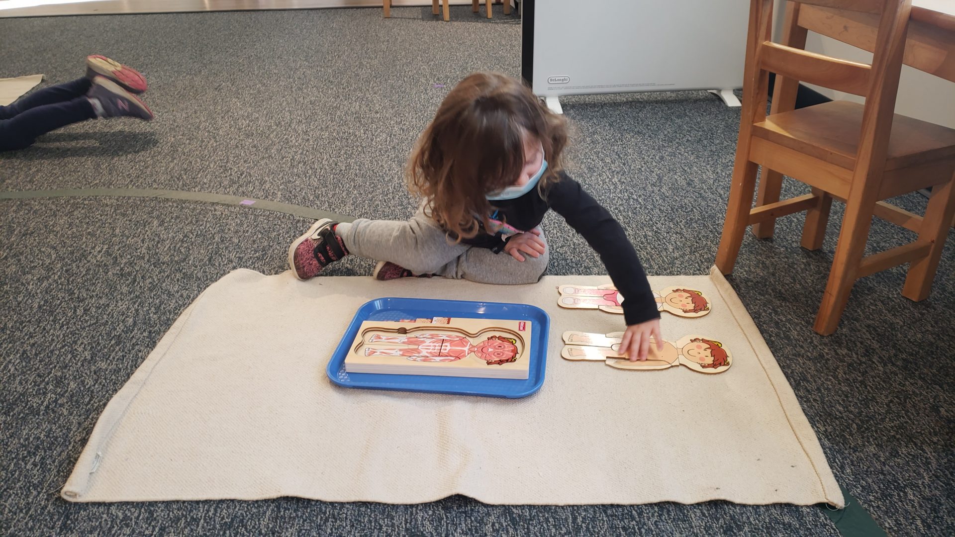 Fraser Woods Montessori School | Mrs. Lopes’s Class: Our Human Body