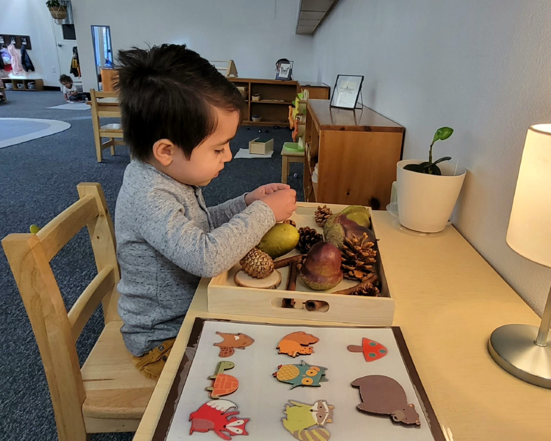 Fraser Woods Montessori School | The Learning Triangle in Montessori