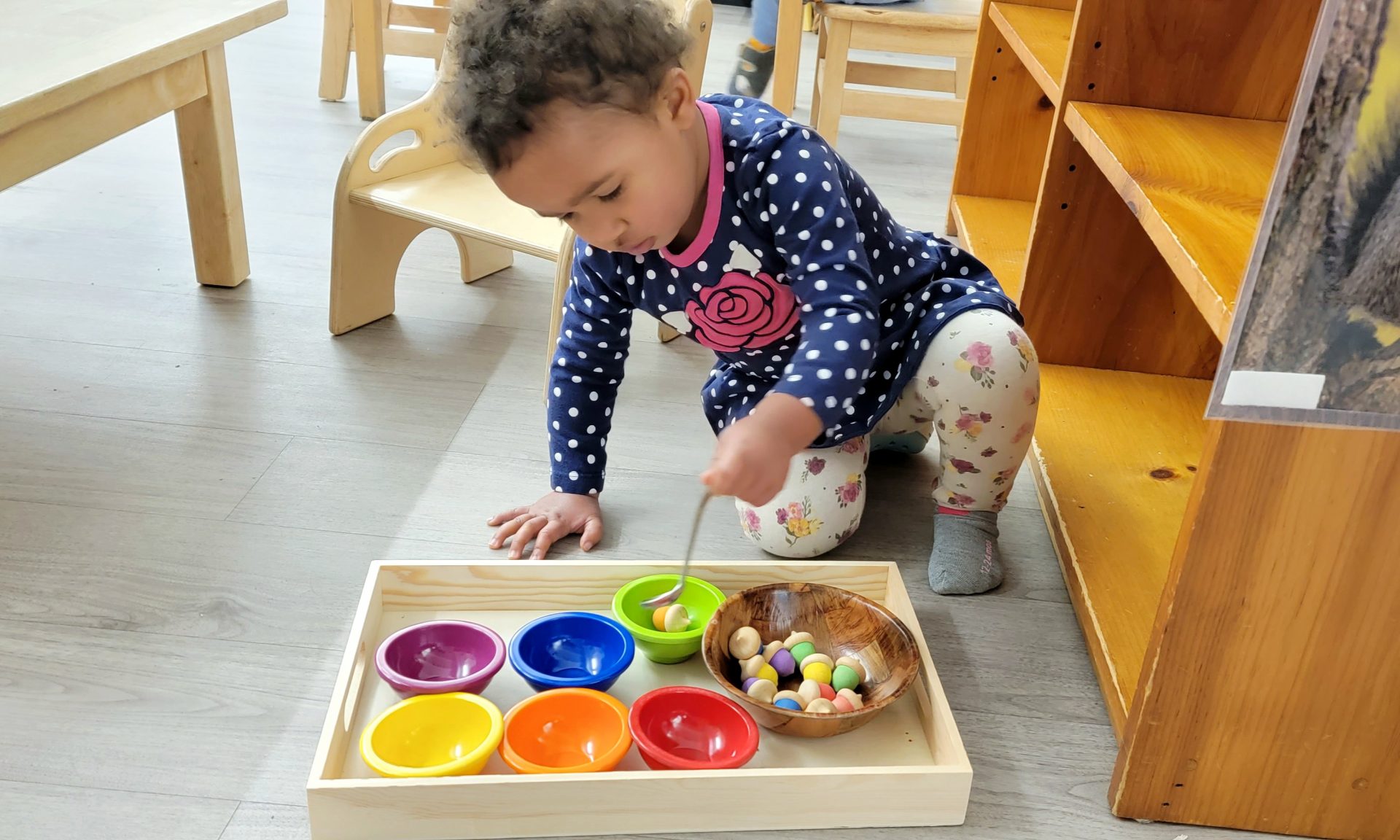 Fraser Woods Montessori School | The Learning Triangle in Montessori