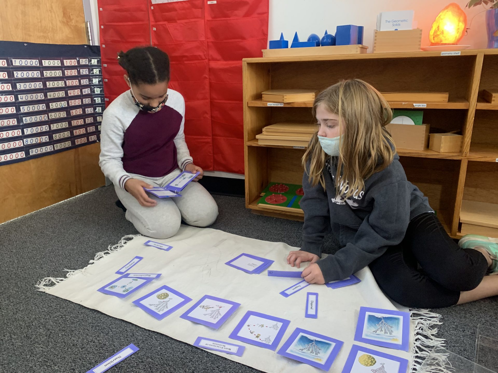 Fraser Woods Montessori School | The Learning Triangle in Montessori