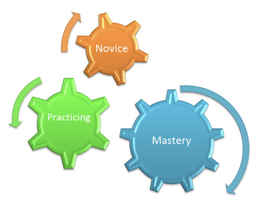 Fraser Woods Montessori School | Montessori Education Cycle, aka The ...