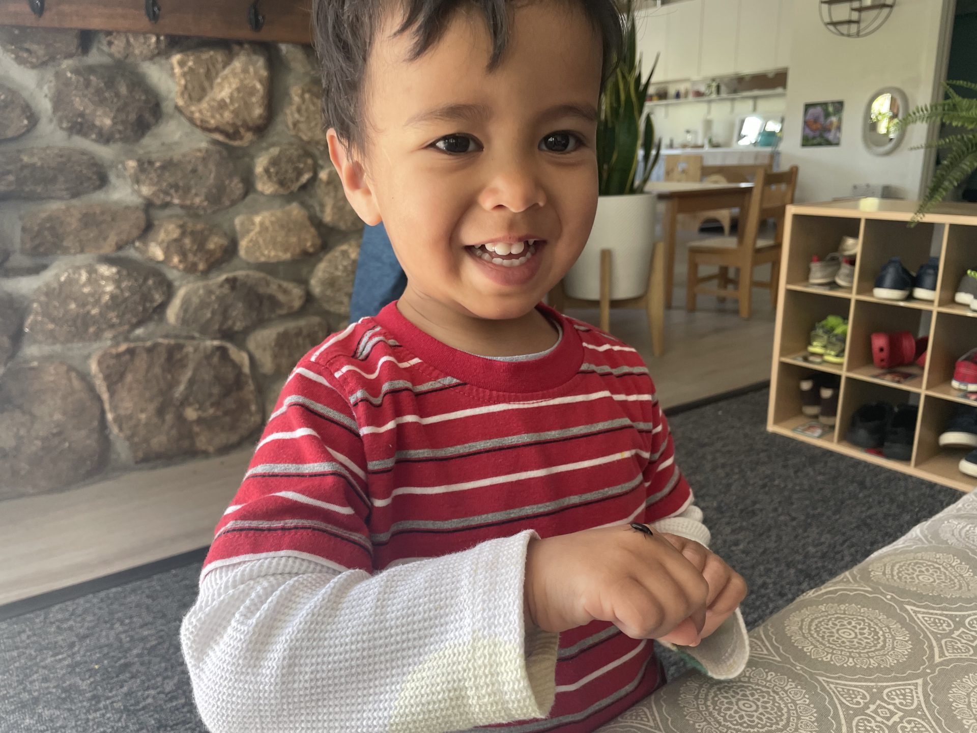 Fraser Woods Montessori School | Mrs. Hood: Head, Thorax, Abdomen!
