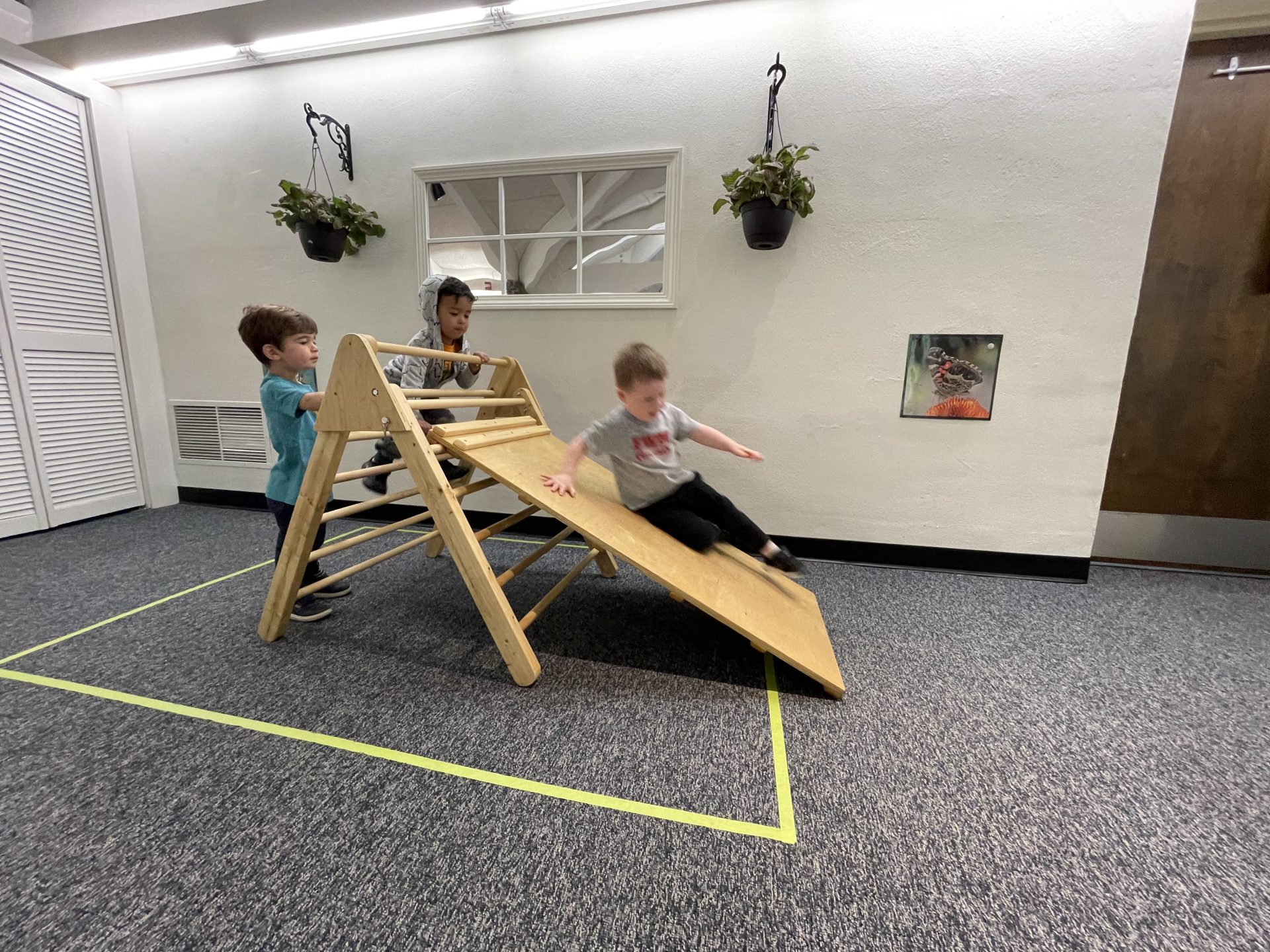 Fraser Woods Montessori School | Mrs. Hood: Head, Thorax, Abdomen!