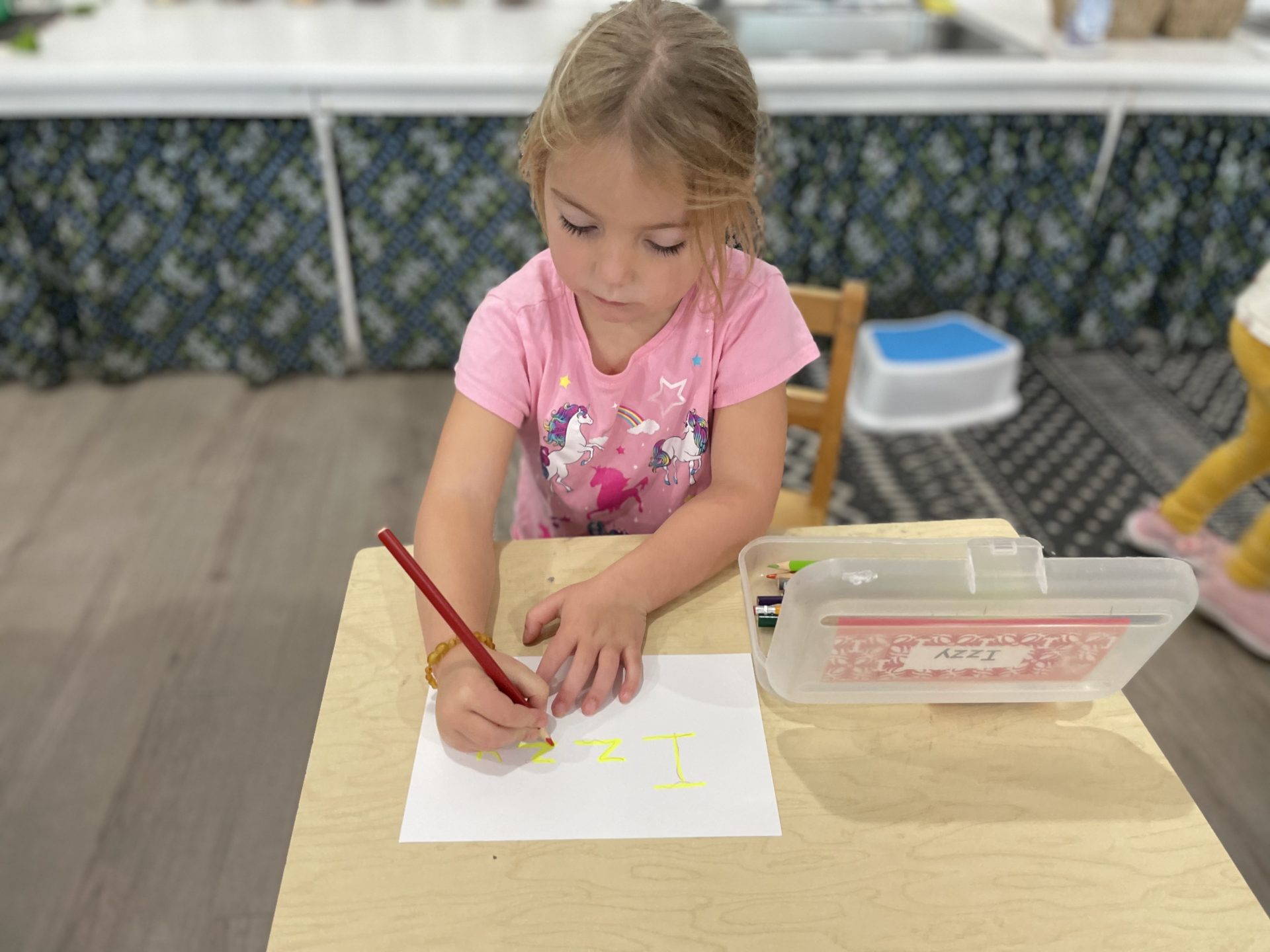 Fraser Woods Montessori School | Mrs. Lopes Class: The Three Period Lesson