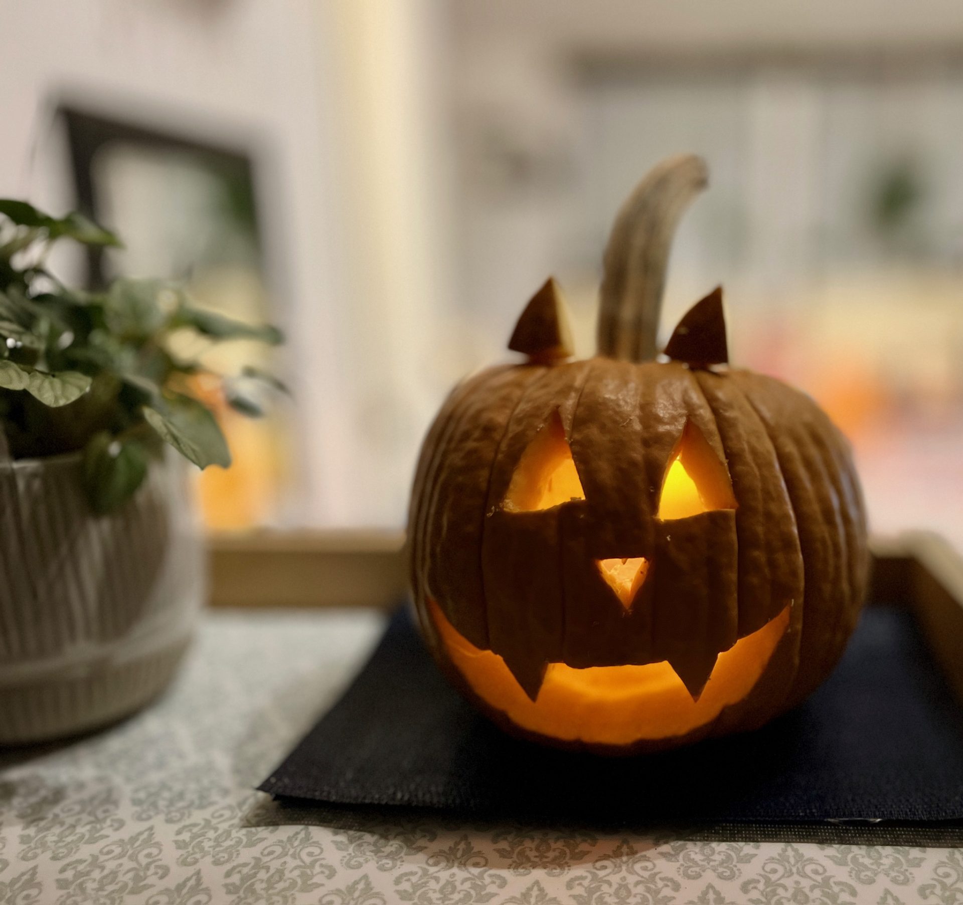 Fraser Woods Montessori School | Mrs. Wilson: Pumpkin Pumpkin